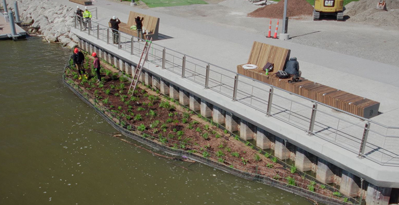 SSOE Group Announces Gift Supporting Supports Floating Wetlands at ...